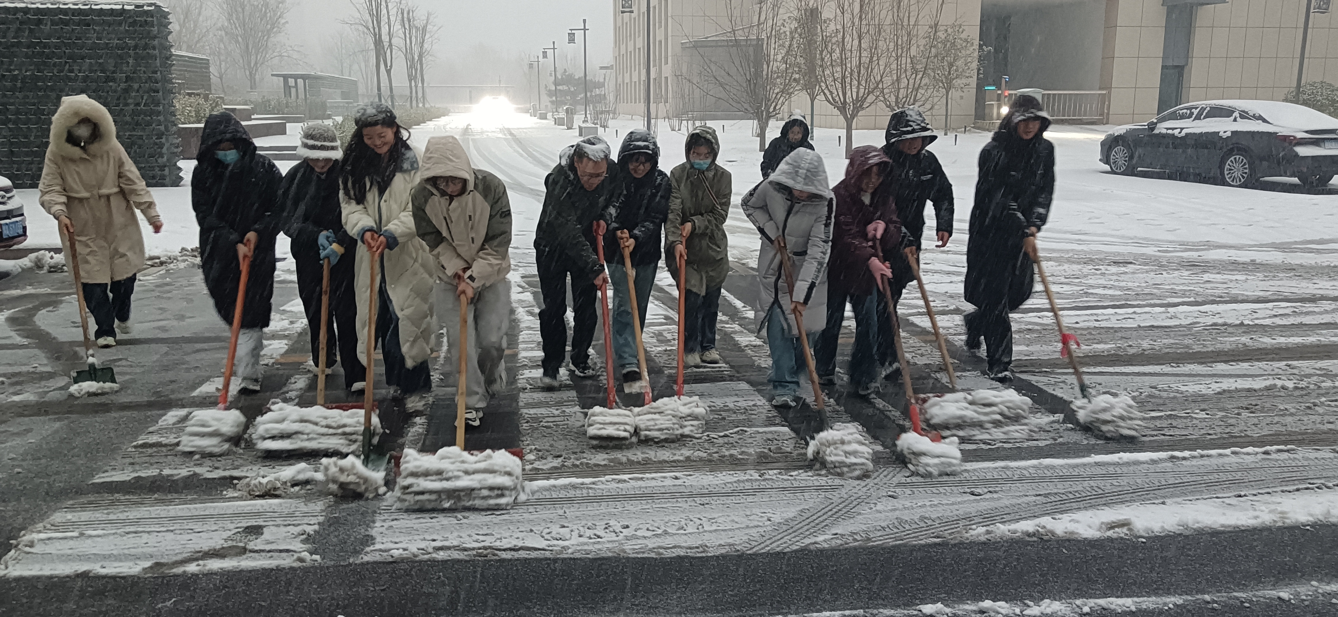 中医药科学院师生党支部联合开展扫雪除冰志愿服务活动-河南中医药大学中医药科学院